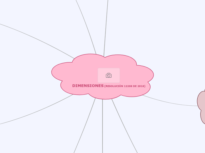 DIMENSIONES (RESOLUCIÓN 12208 DE 2018) - Mind Map